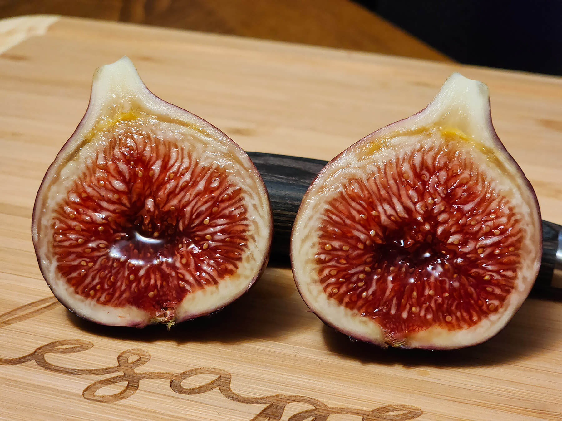 Chesapeake Figs – grow something you can eat