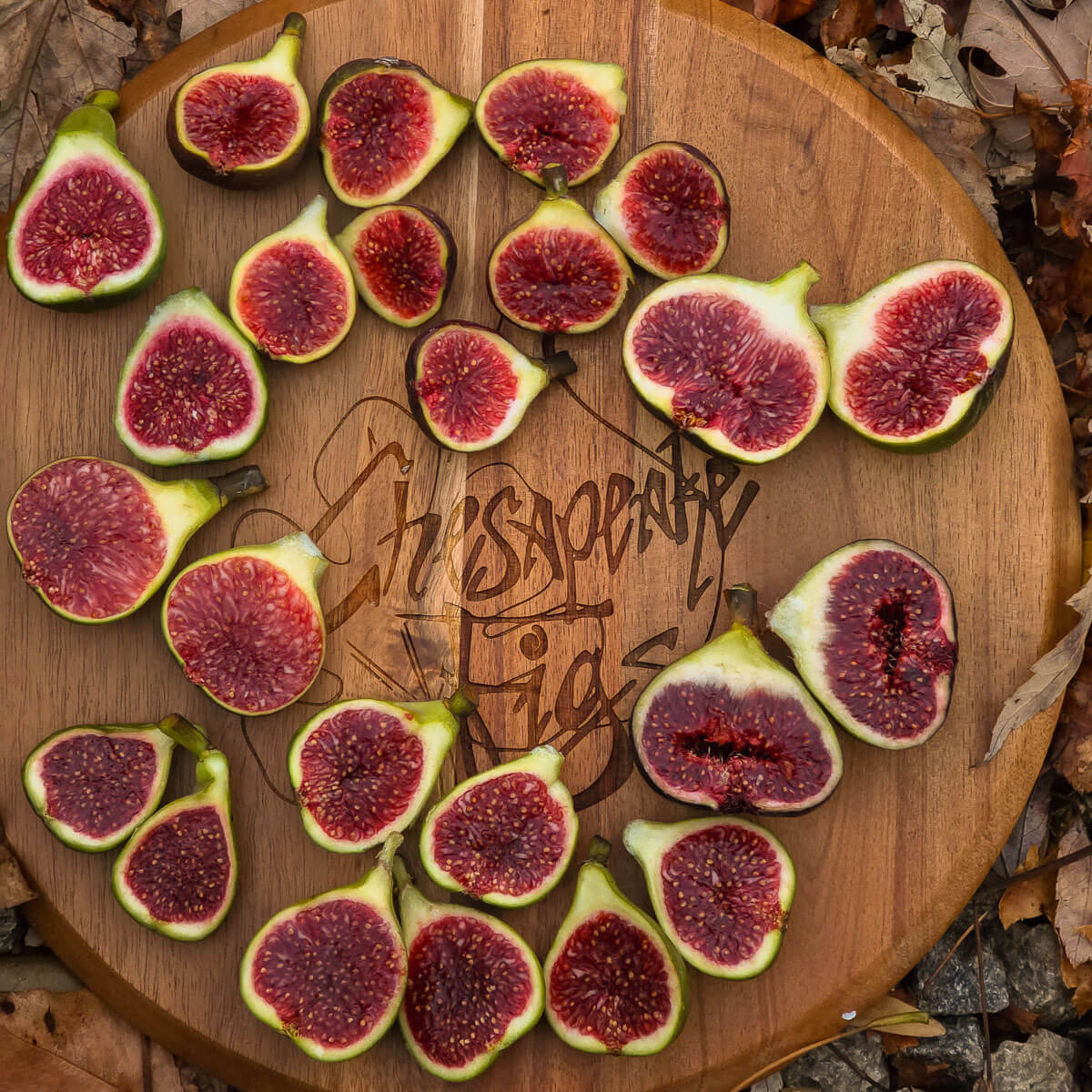 Chesapeake Figs – grow something you can eat