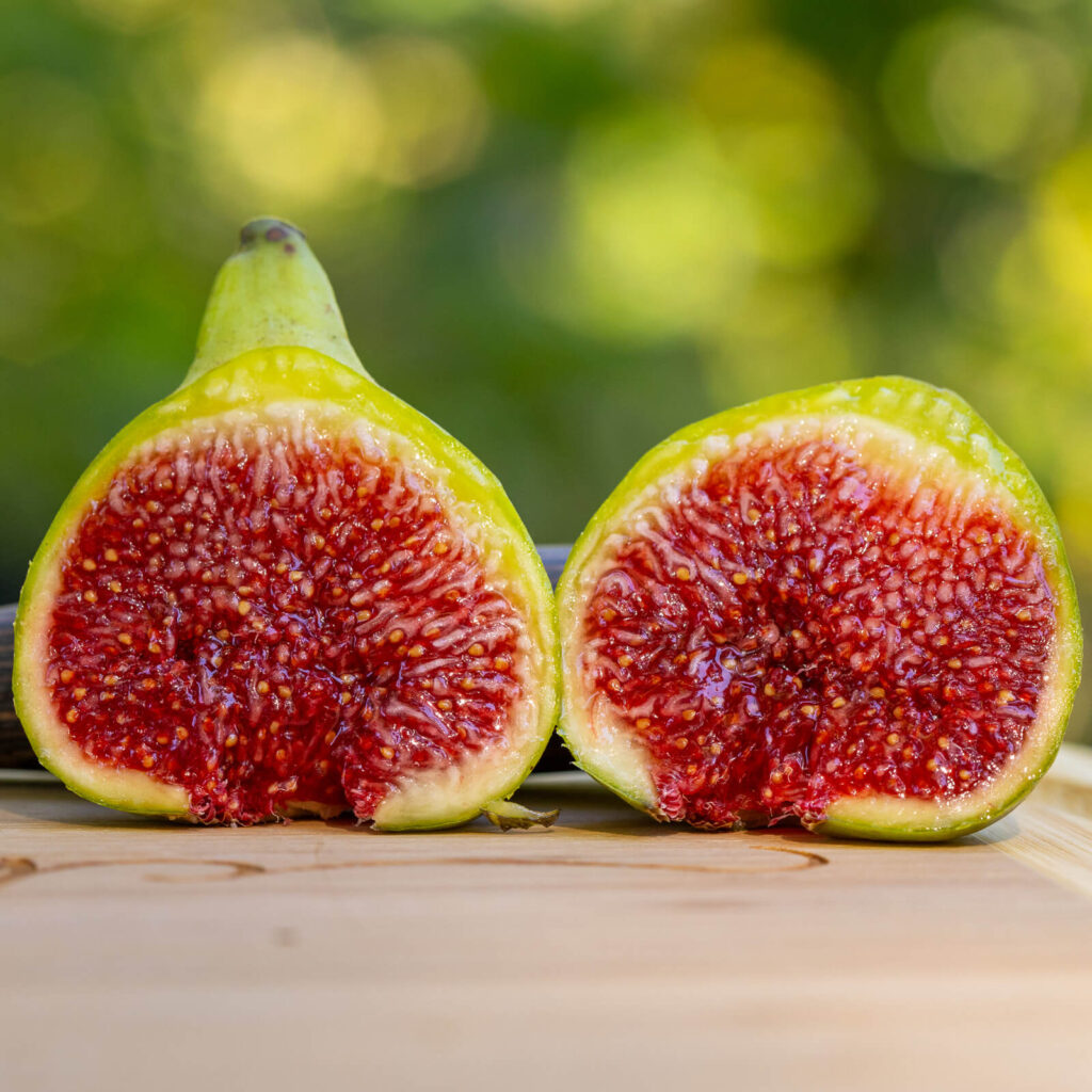 Proscuitto Unk (Tree) – Chesapeake Figs
