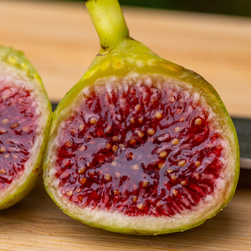 Figs – Chesapeake Figs