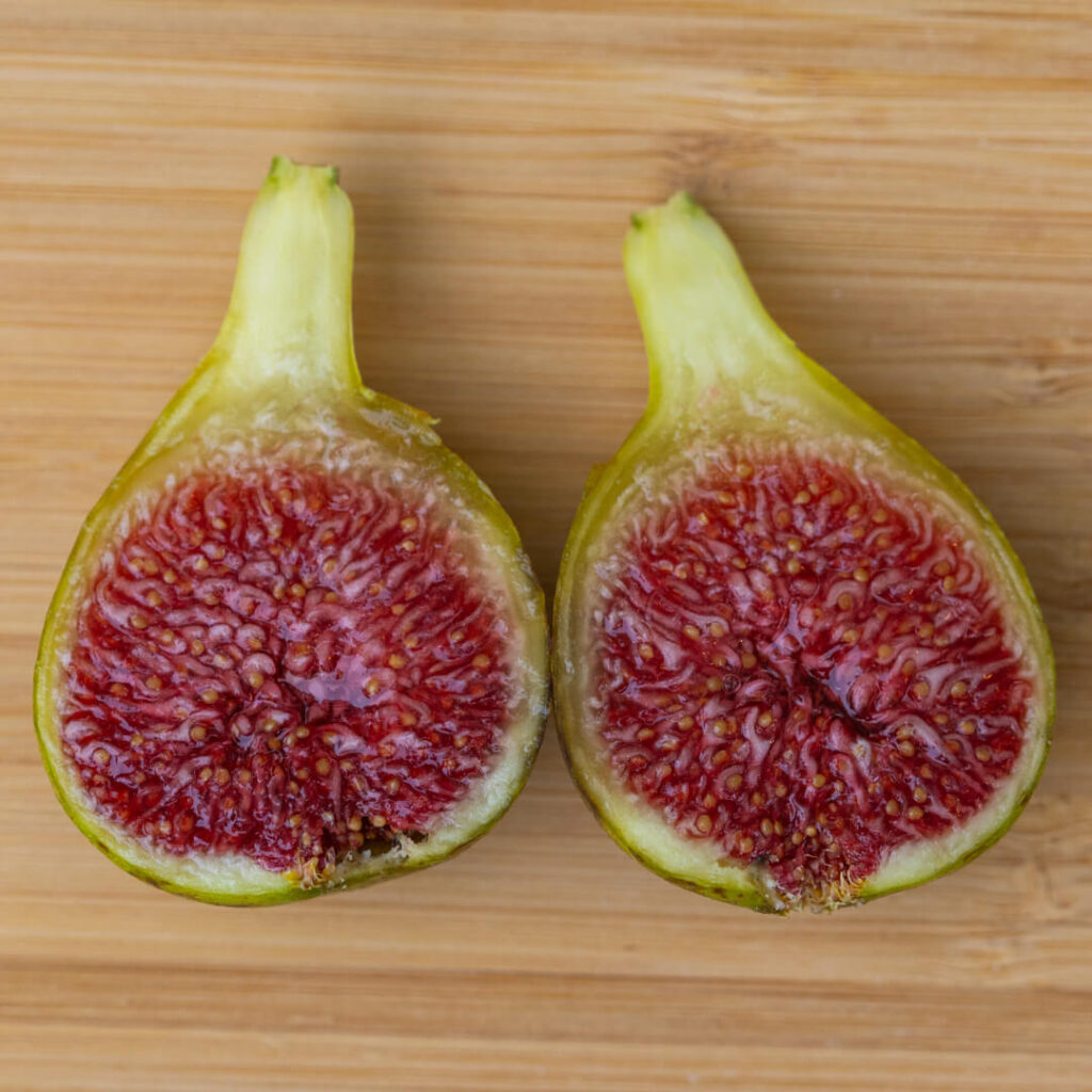 HSK UNK – Chesapeake Figs