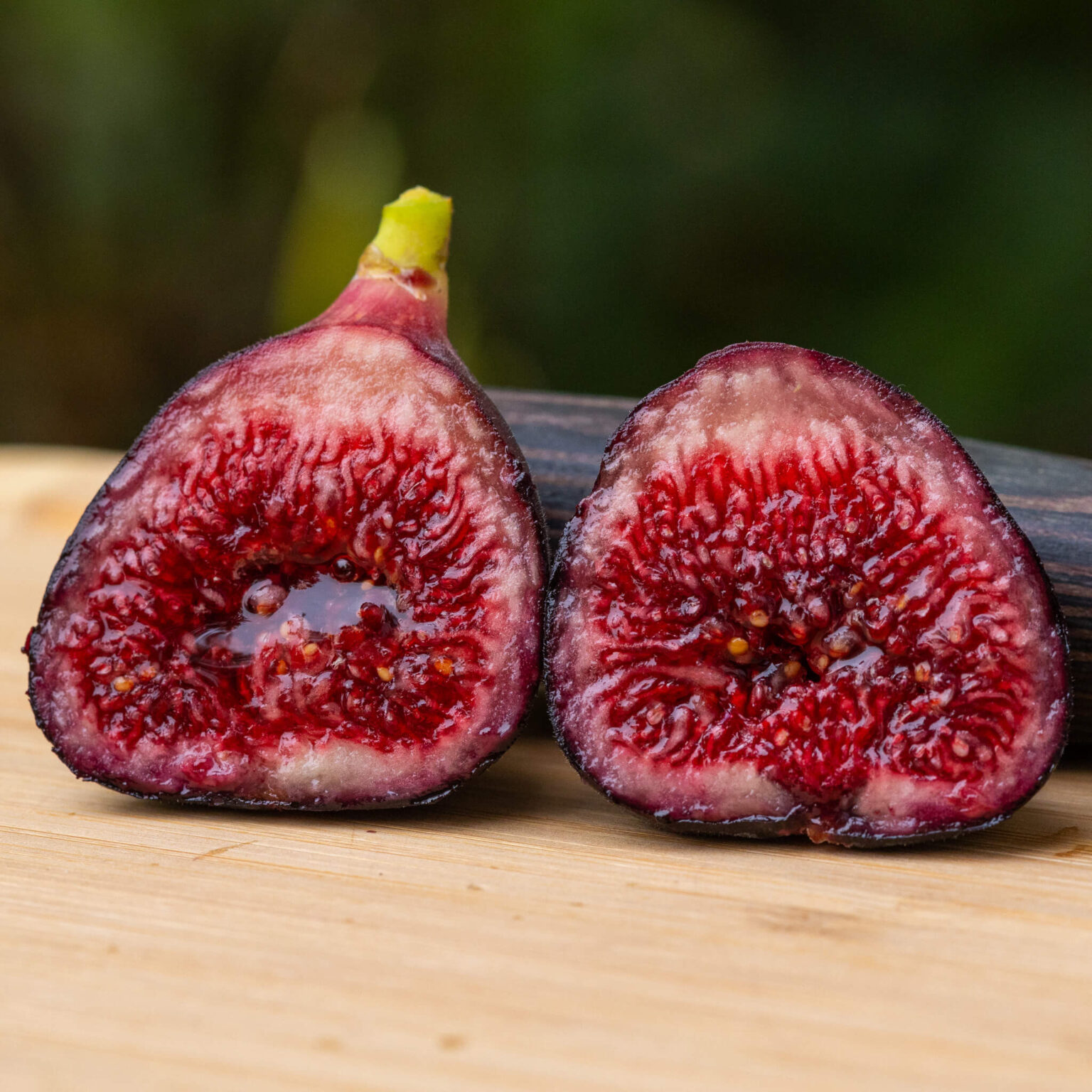 Pastiliere – Chesapeake Figs