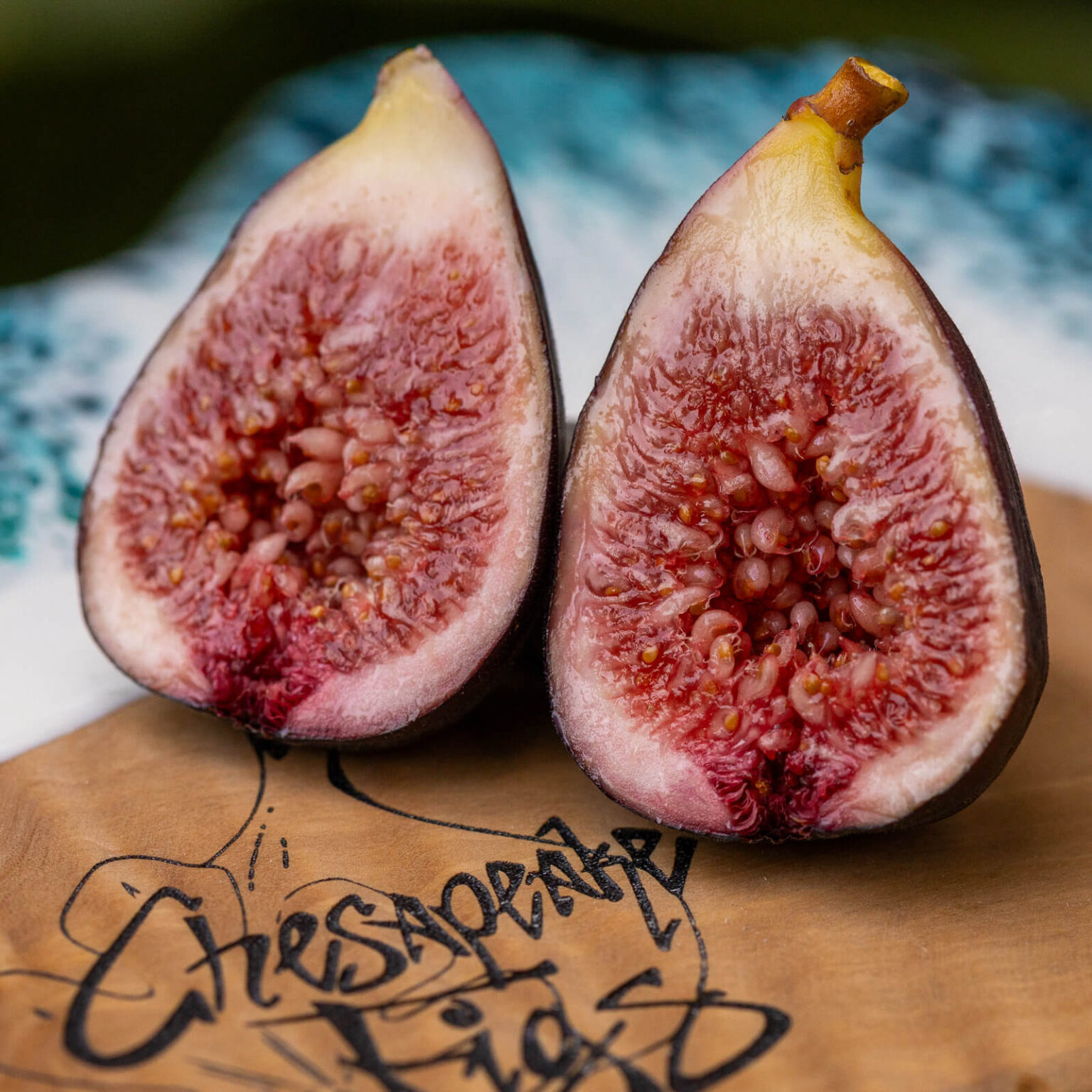 Xinesa – Chesapeake Figs