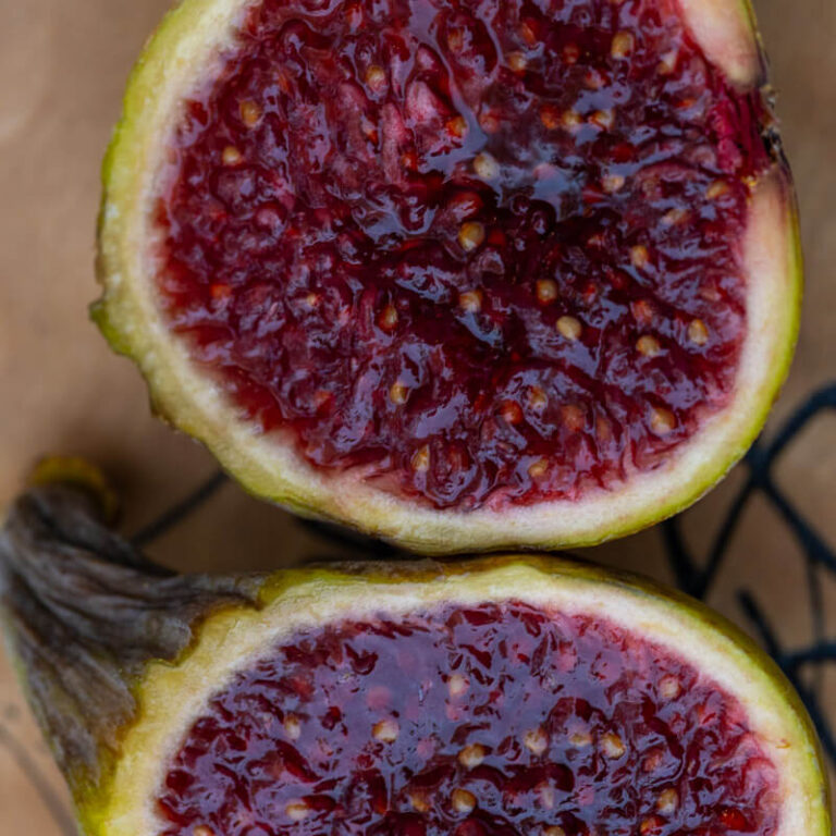 Chesapeake Figs – grow something you can eat